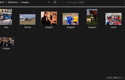 Yolov7（目标检测）入门教程详解 检测，推理，训练 Csdn博客