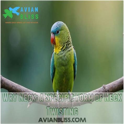 Why Is My Bird Twisting Neck 7 Shocking Reasons Revealed