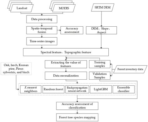Tree Species Classification Over Cloudy Mountainous Regions By Spatiotemporal Fusion And