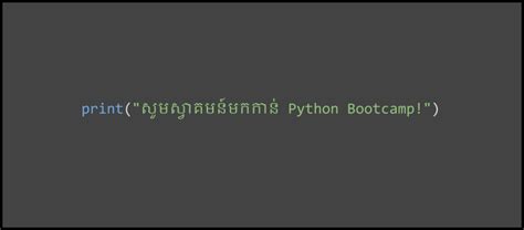 Python Bootcamp Cambodia Home