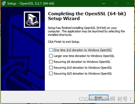 保姆级openssl下载及安装教程 openssl下载及安装教程 csdn博客