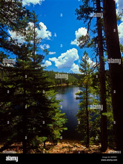Knoll Lake On The Mogollon Rim Apache Sitgreaves National Forest
