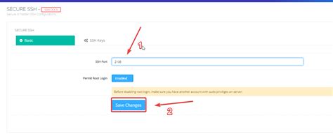 How To Use SSH Security On CyberPanel