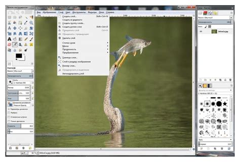 Прозрачность фона в Gimp Gimp как сделать прозрачный фон Fotolibri