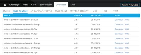 Applying Custom Policies In On Premise Mule Runtime