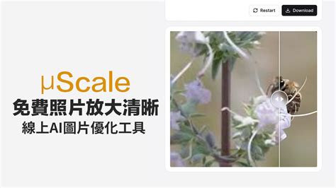 µscale 照片放大清晰線上免費工具，圖片放大4倍也不失真 瘋先生