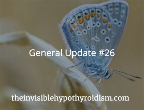 Updates On My Adrenal Fatigue Thyroid Sex Hormones