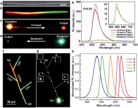 optical waveguide a sem and b real color emission photograph of a