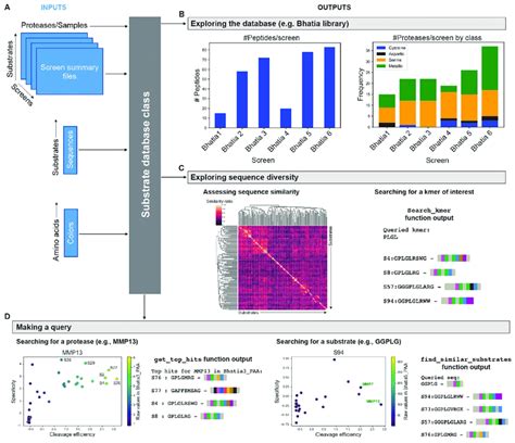 Paa Provides An Infrastructure For Queryable Databases Of Enzyme Download Scientific Diagram