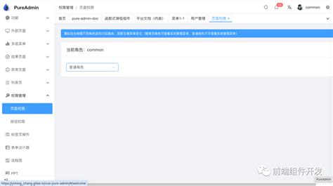 Vue Pure Admin：一款基于vue3和vite的现代化后台管理系统模板pureadmin Csdn博客