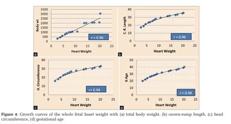 Assessment Of Fetal Left And Right Ventricular Thickness And Its