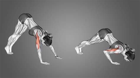 Pike Push Ups Benefits Muscles Worked And More Inspire Us Pike