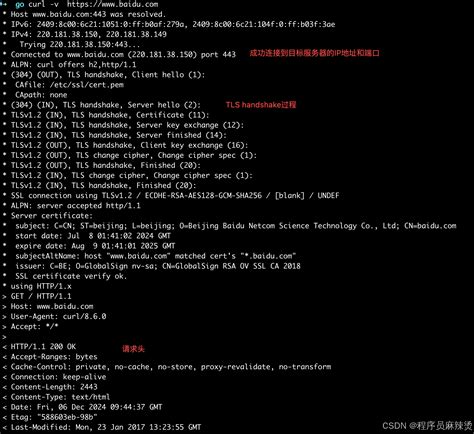 Net Tls Handshake Timeout 问题 Csdn博客