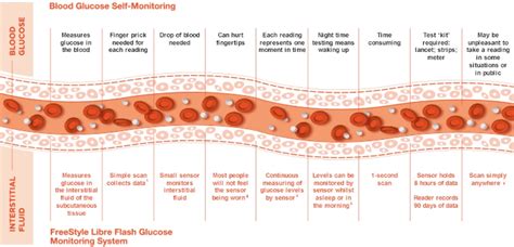 Why Blood Glucose Won T Always Match Sensor Glucose FreeStyle Libre AU