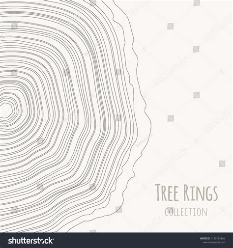Tree Rings Texture Collection Wooden Circle Stock Vector Royalty Free
