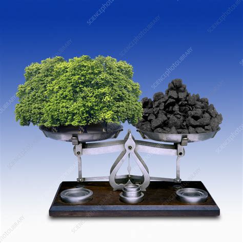 Offsetting Carbon Emissions Conceptual Image Stock Image F041 9557 Science Photo Library