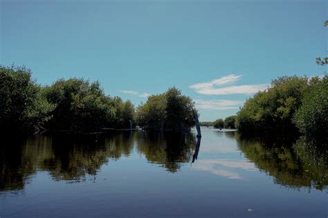 멕시코에서 맹그로브 숲을 항해하는 방법