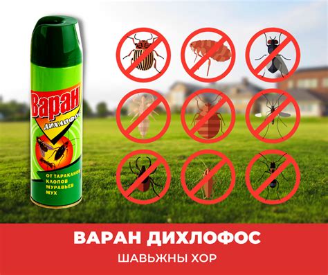 Ариусгал Трейд ВАРАН ДИХЛОФОС ШАВЖНЫ ХОР ТАНИЛЦУУЛАГА Мөлхөө болон нисдэг бүх төрлийн шавж