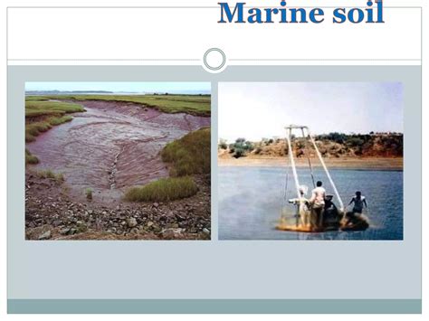 Soil Type And Their Characteristic Pptx