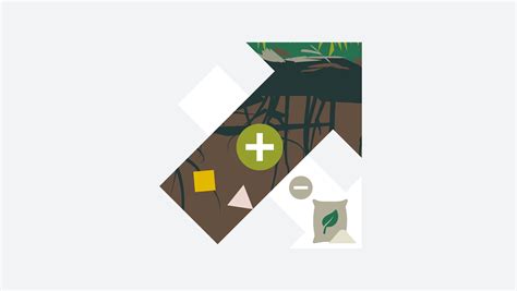 Enriched Crop Rotation Benefits Kws Suisse Sa