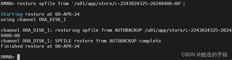 单例19c Rman数据迁移方案oracle Rman迁移数据库 Csdn博客