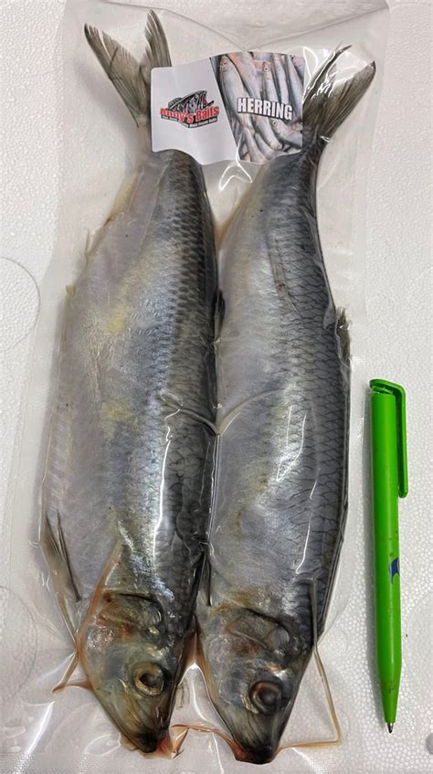 Herrings 2 Per Bag Baitsrus