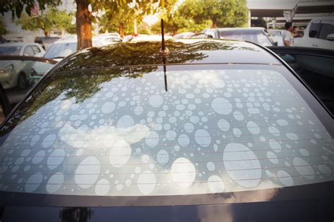 Why You Should Not Tint Your Windows Yourself Solar Solutions Window Tinting