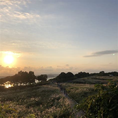 꼭 가봐야할 서울 데이트스팟 야구 에펨코리아