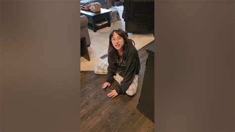 Justice For Tess 😂 Pudelpointer Tiktoktess Tesstok Yorkie Stuntmanmike Youtube