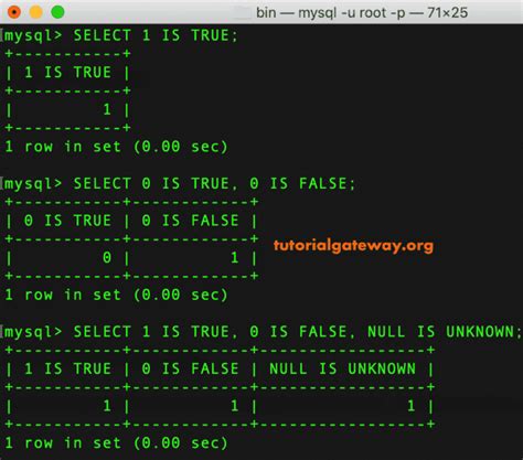 MySQL IS Operator
