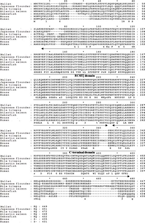 sequence alignment of vertebrates ecsit the sequence alignment was