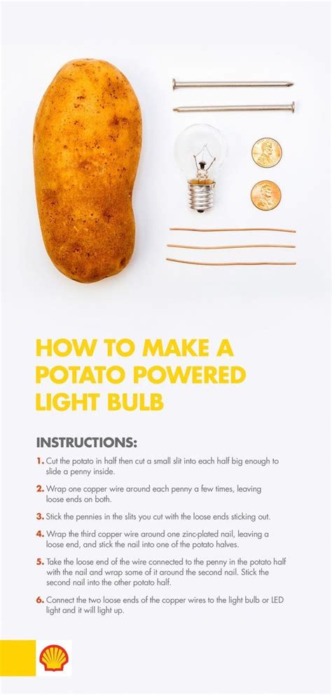 How To Make A Potato Light Bulb Science Fair Project Shelly Lighting