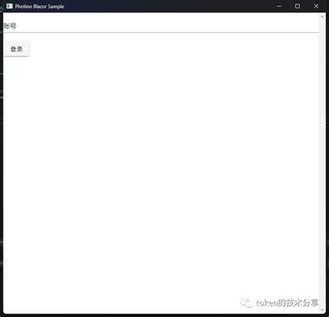 Blazor Hybrid 授权讲解 董川民