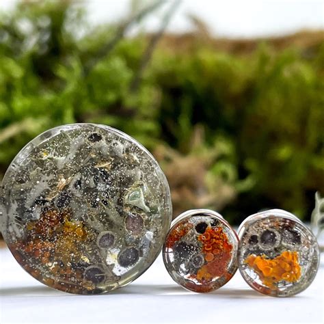 Mushroom And Moss Ear Gauges Ohmygauges