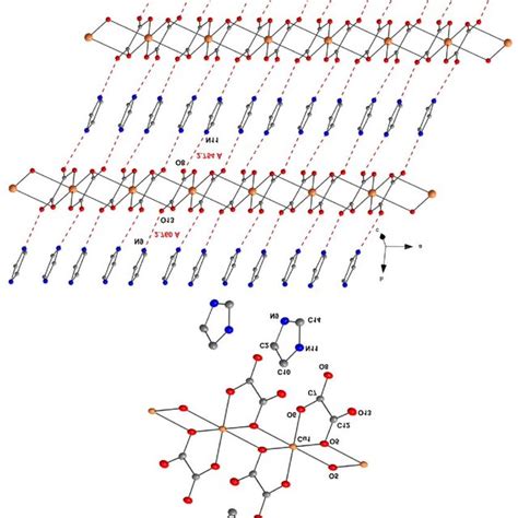Pdf Copper Oxalate Complexes Synthesis And Structural Characterisation