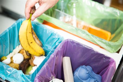 4 Waste Disposal And Management Tips After A Major Home Cleaning
