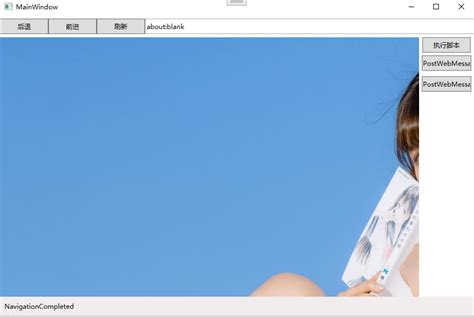 在wpf中使用webview2详解 编程大咖
