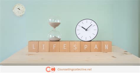 Psychoanalysis Techniques Applications And Effectiveness
