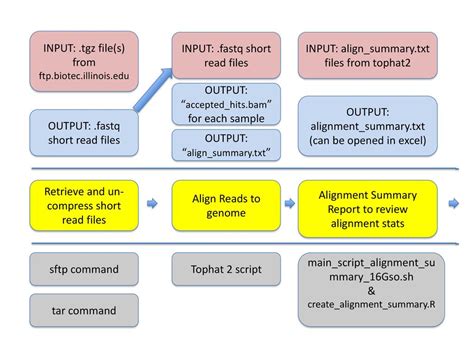 Stubbs Lab Bioinformatics 4 Alignment Summary Report And Count Files With Htseq Count Nov 29