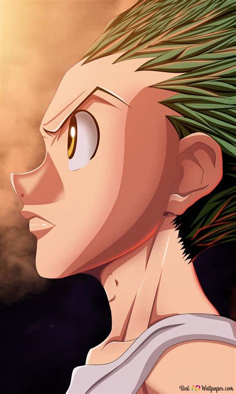 Gon Freecss 4k Wallpaper Download