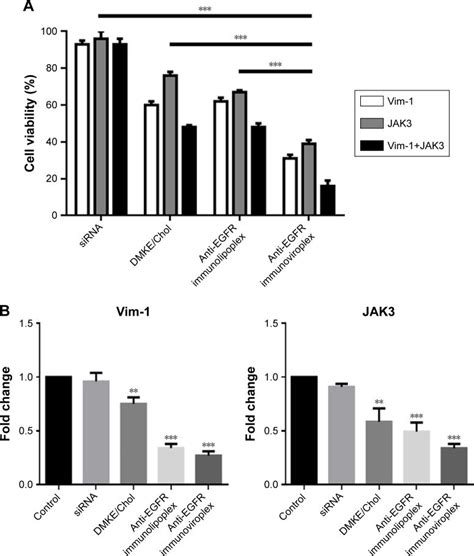 In Vitro Anticancer Activity Of Vim And Jak3 Sirnas Notes A Cell Download Scientific
