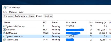 Why Do System Interrupts Not Appear In Task Manager For The Nd Logged In Person
