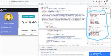 Weird Css Automatically Added To The Web The FreeCodeCamp Forum
