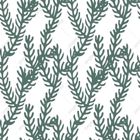 Pine Tree Branch Vector Art PNG Evergreen Pine Tree Branches With Xmas Christmas PNG Image