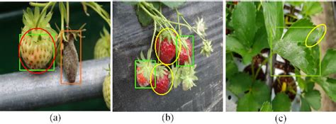 Figure 10 From An Improved Lightweight Yolov5 Algorithm For Detecting