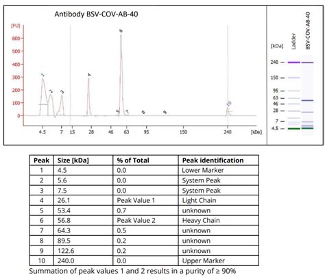 Anti Spike Rbd Recombinant Chimeric Antibody Bioservuk