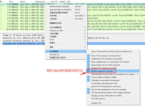 43 Tcp 实战抓包分析 小林coding