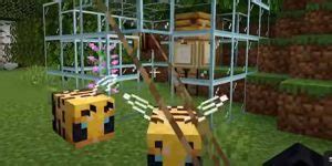 How To Get Bees In Beehives In Minecraft
