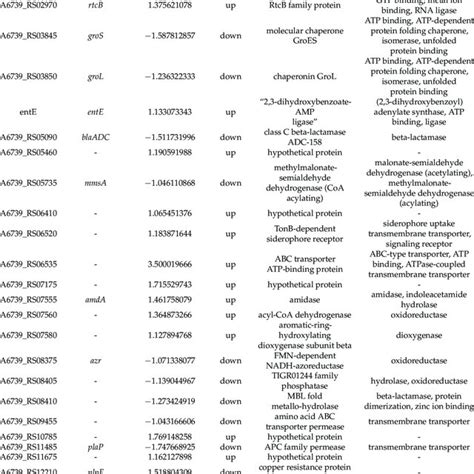 Differentially Expressed Genes In The Presence Of Minocycline Download Scientific Diagram