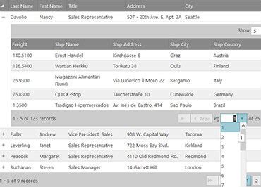 Grid UI Components JavaScript HTML JQuery Angular Ignite UI